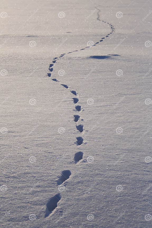 Snow way stock image. Image of hope, freeze, outside - 11622809