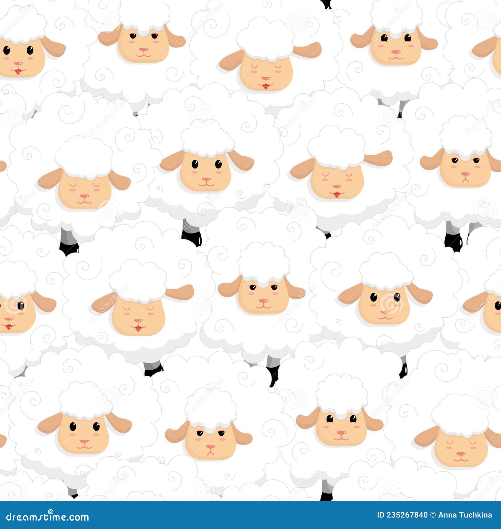 Snow-white Cute, Funny Sheep on a White Background Stock Photo - Image ...