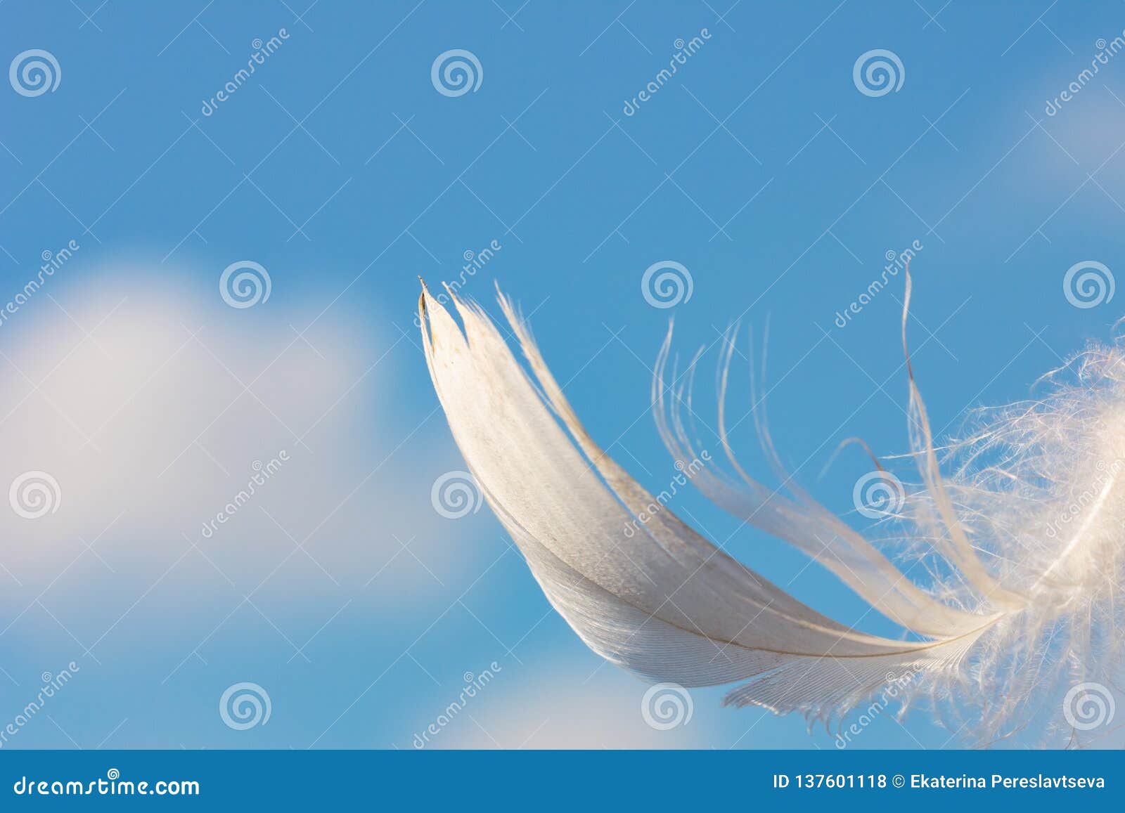 Snow-white Feather on Blue Sky Background with Clouds, Lightness ...