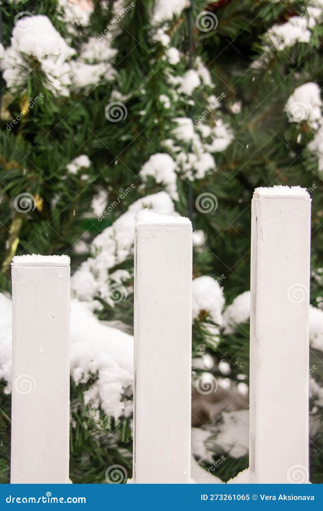 Snow on the White Stakes of the Fence Stock Image - Image of paling ...