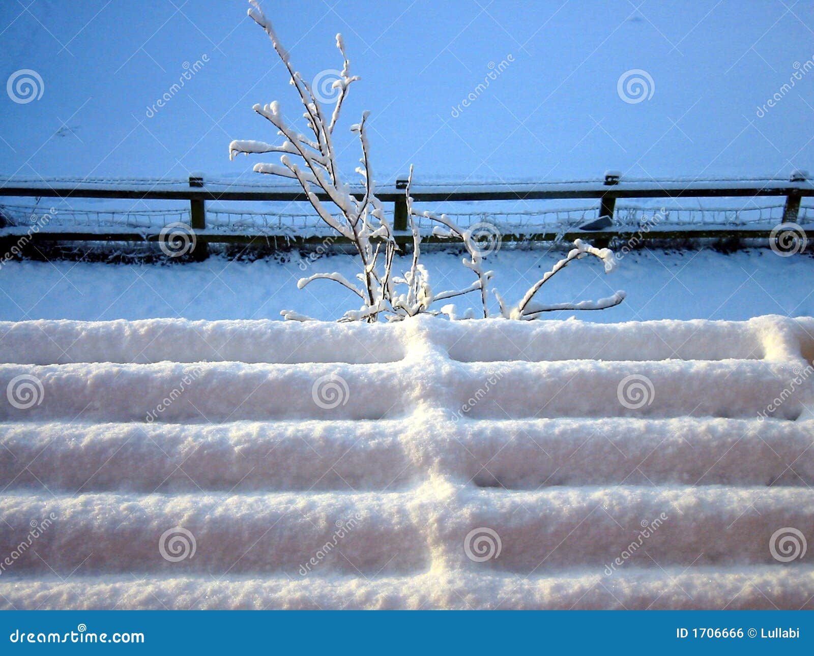 Snow, Winter, December, Christmas, Cold Stock Photo - Image of peaceful ...