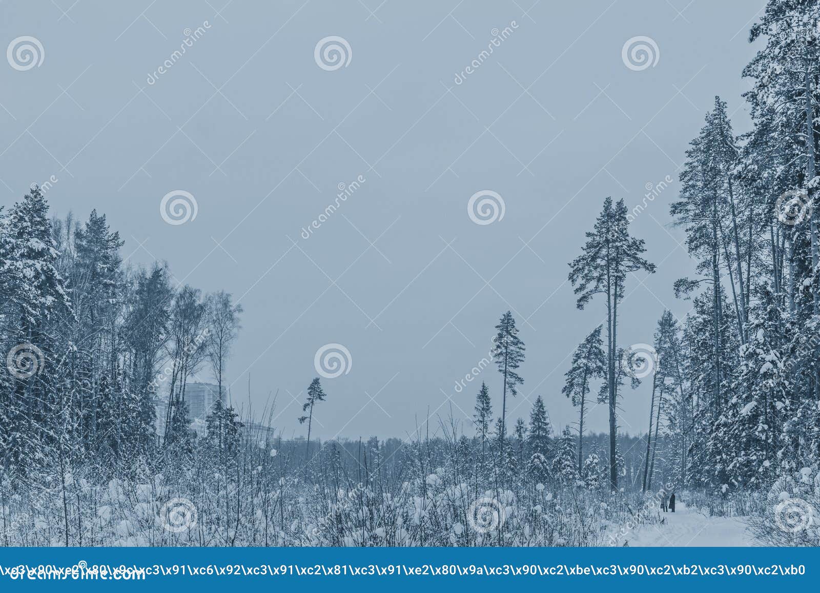 Snow Winter Forest in Blue Classic Color Stock Photo - Image of holiday ...