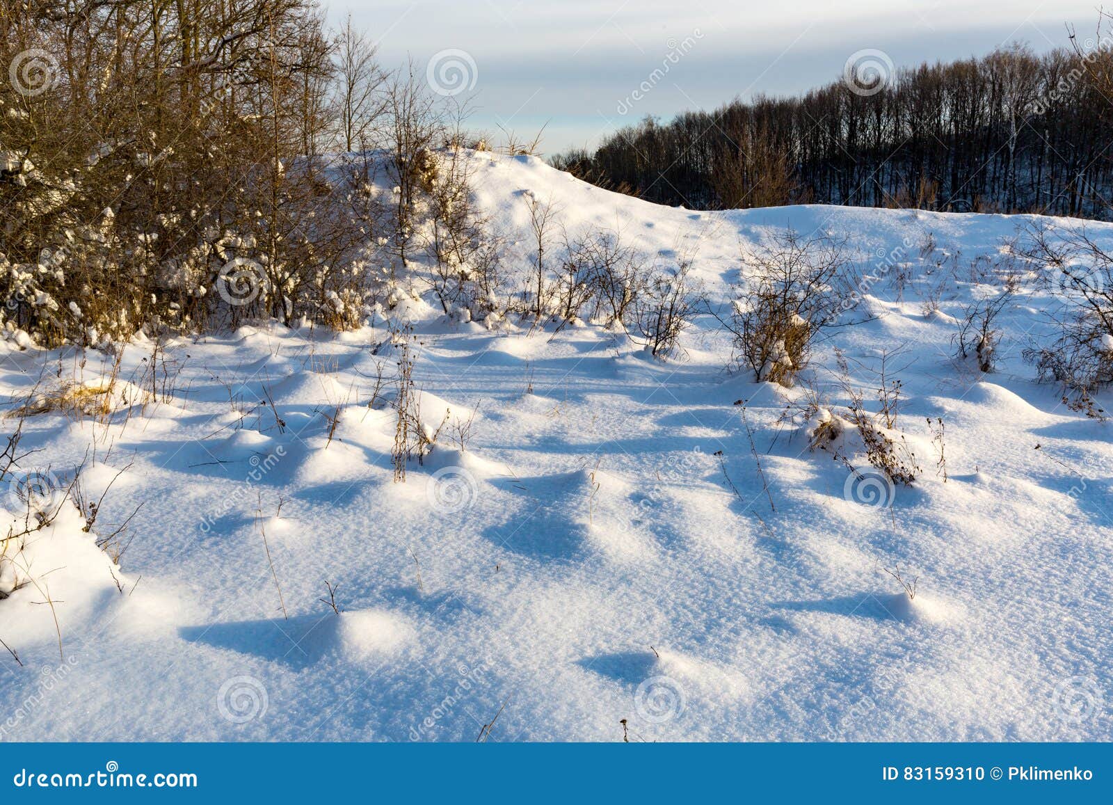 Snow on winter meadow stock photo. Image of rural, scenic - 83159310