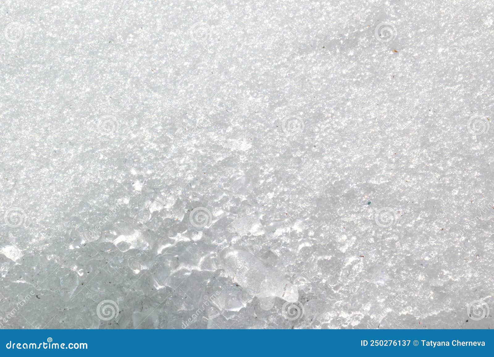 Snow, Winter, Texture, White, Cold, Ice Stock Image - Image of leaf ...