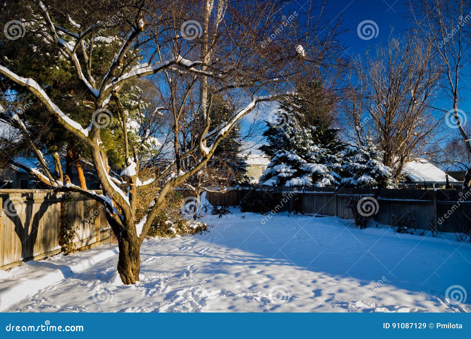 Snow in Yard Final stock image. Image of natural, architecture - 91087129