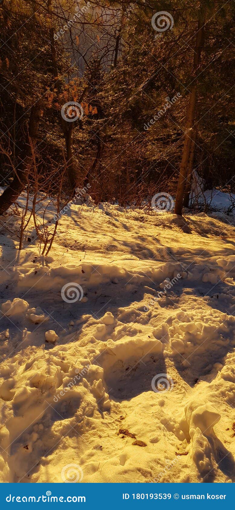Snow yellow look stock image. Image of formation, leaf - 180193539