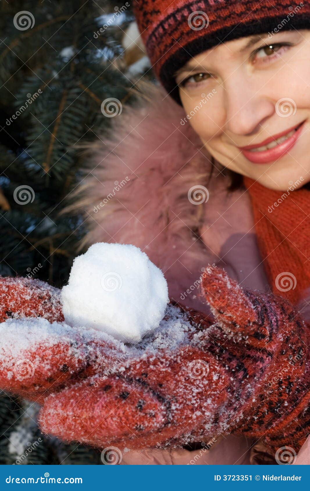 The snowball stock image. Image of female, nature, winter - 3723351