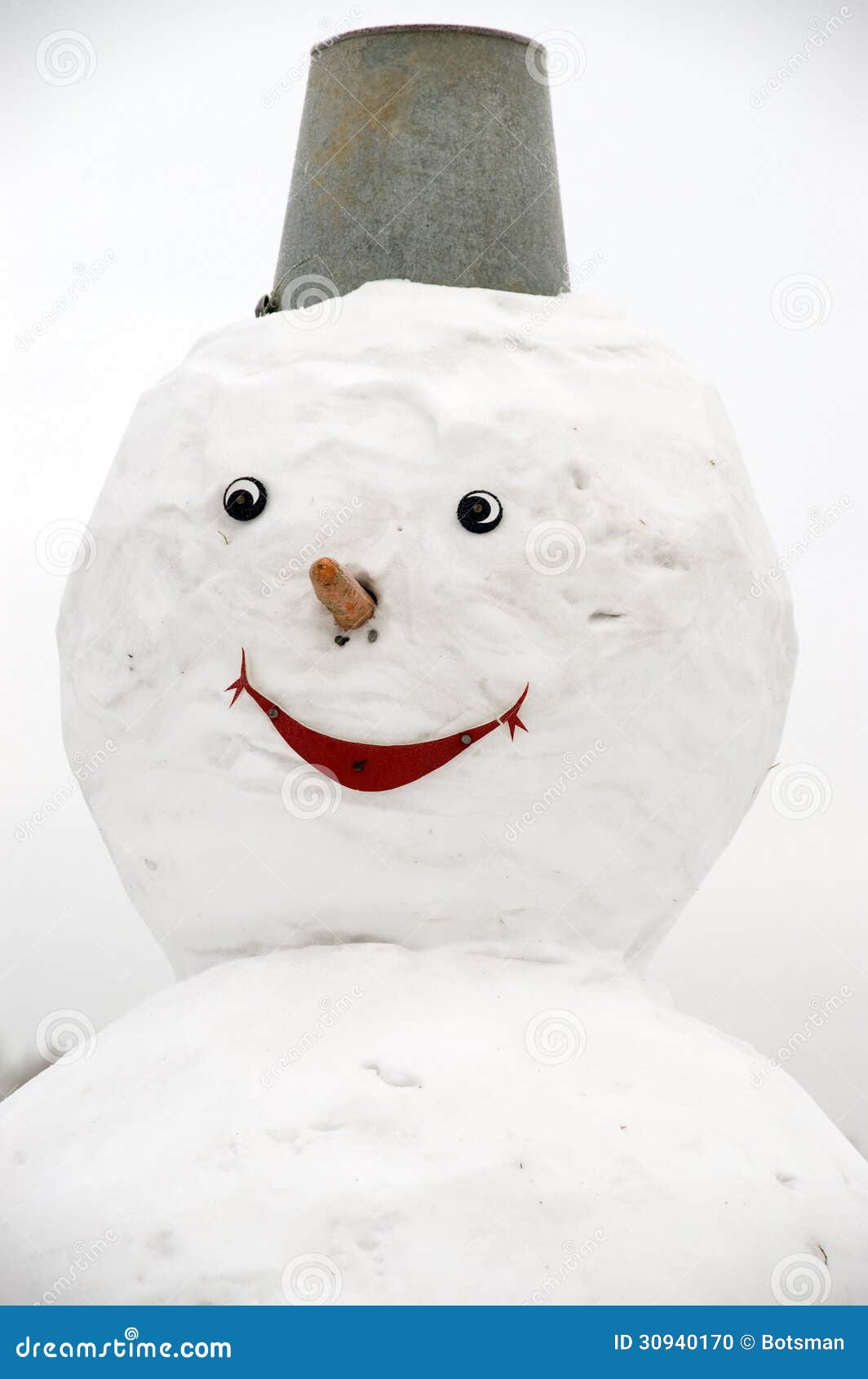Snowball Picture. Image: 30940170