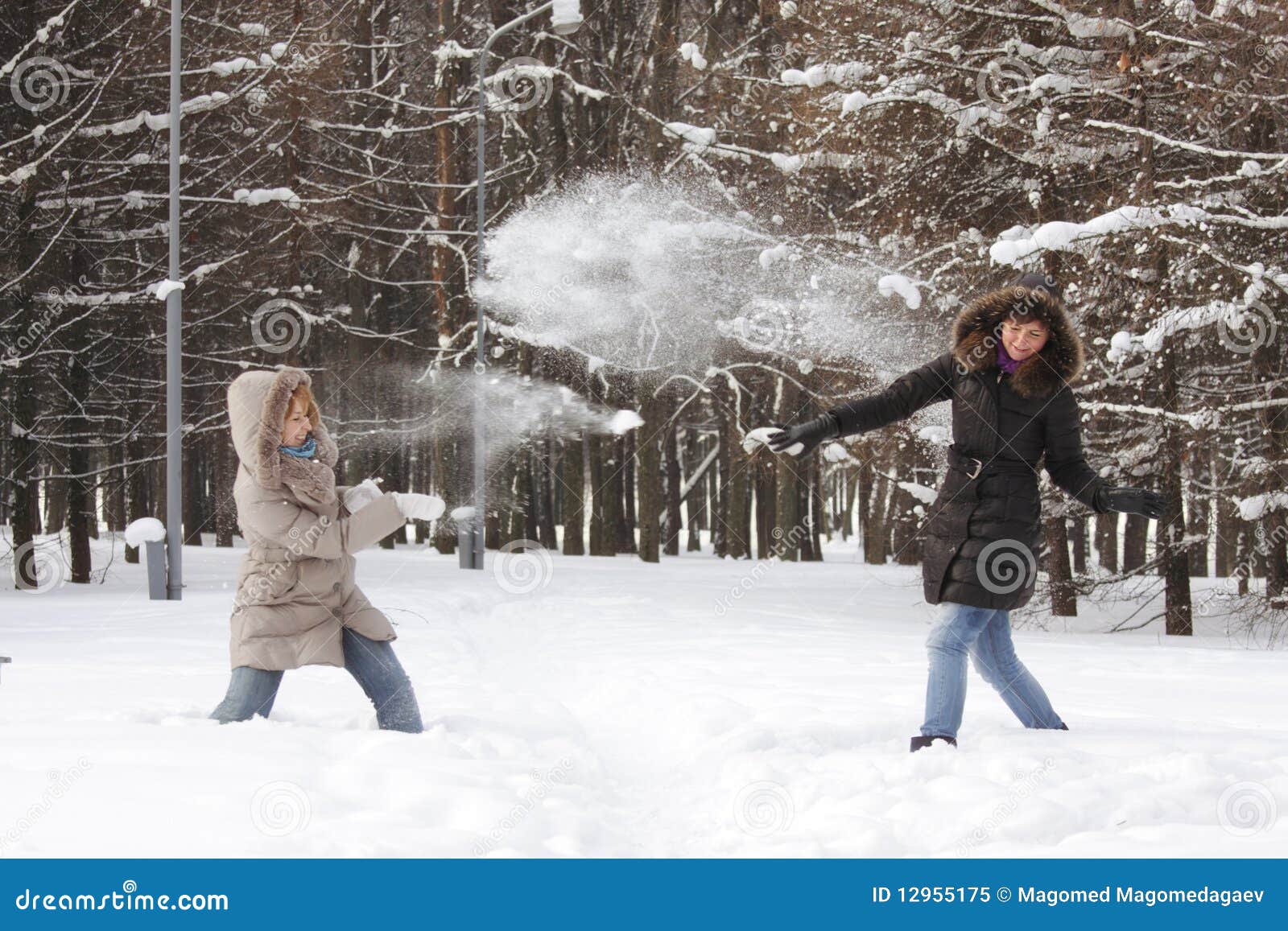 Snowball fight stock image. Image of jeans, brunette - 12955175
