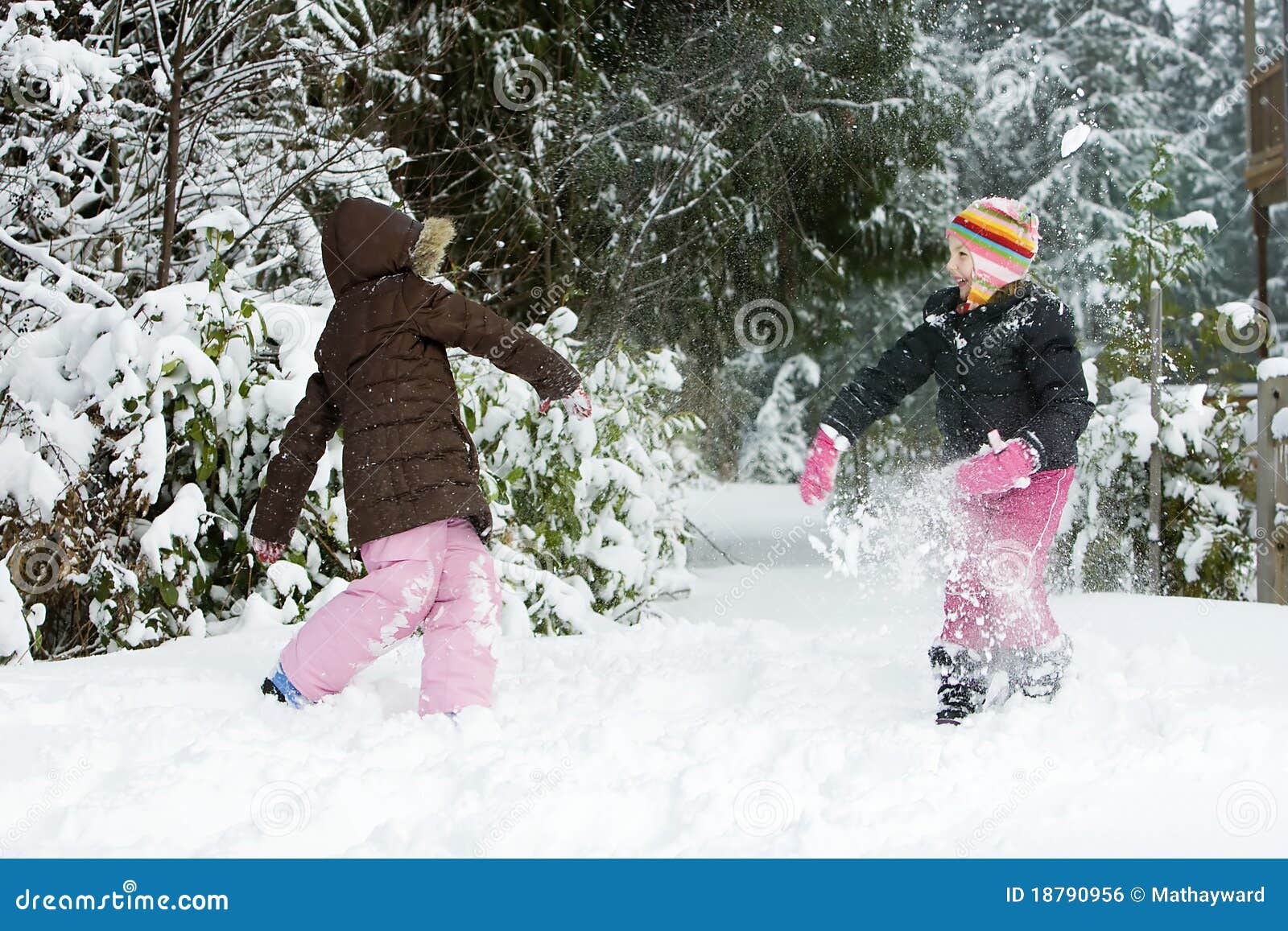 Snowball Fight stock photo. Image of deep, cold, friends - 18790956