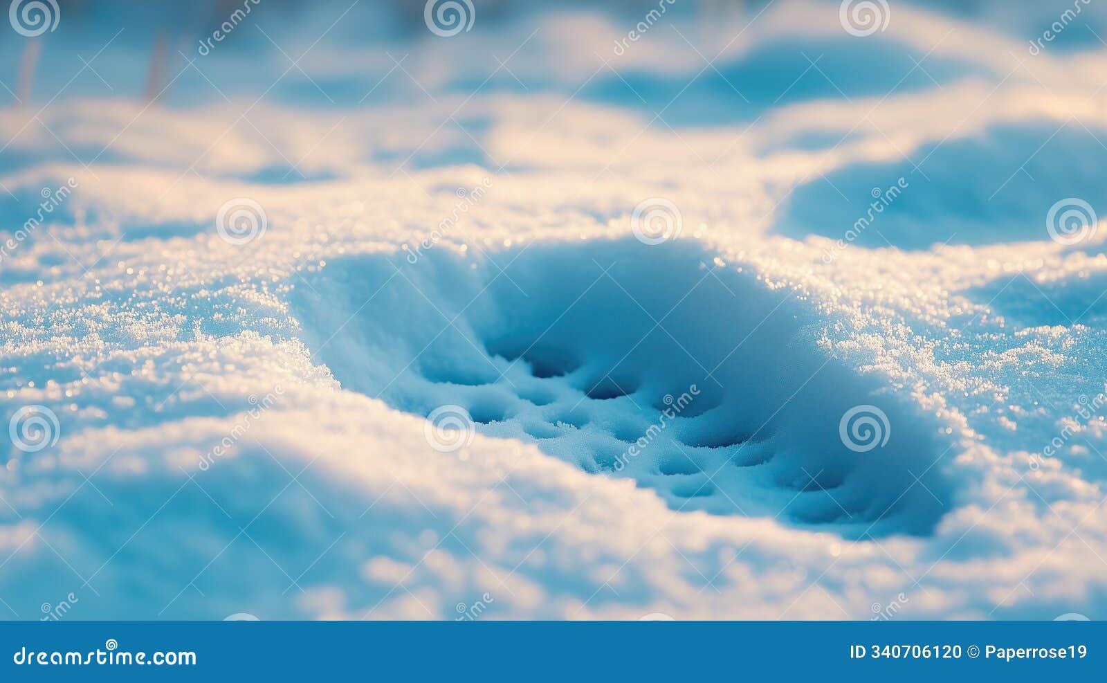 Snowball Footprint. Snow Winter Footprints Stock Photo - Image of tree ...