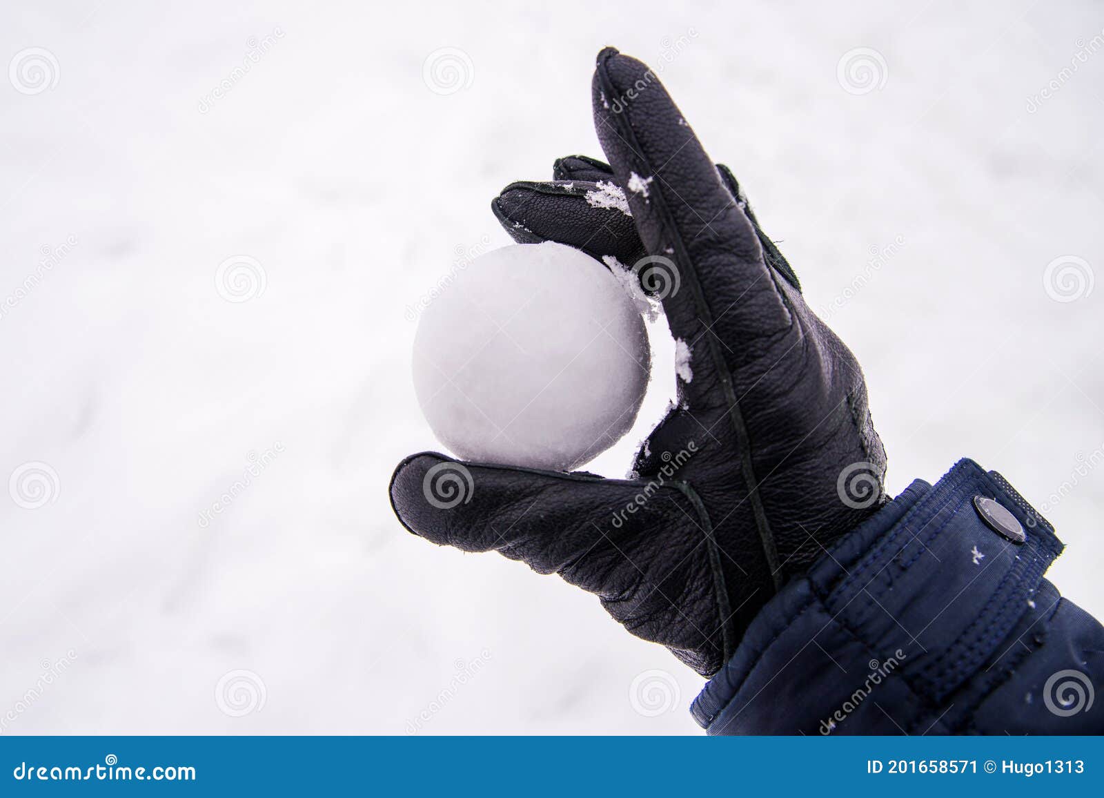 Snowball in Hand. Snowball Ready for Takeoff. Stock Image - Image of ...