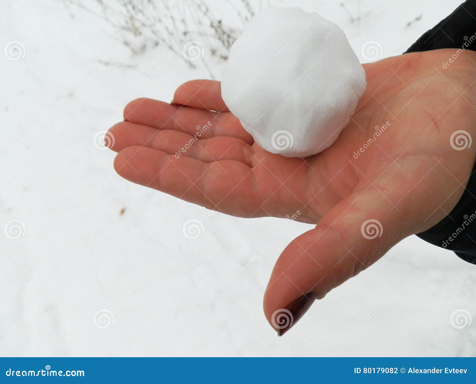 Snowball in hand stock photo. Image of holiday, forest - 80179082