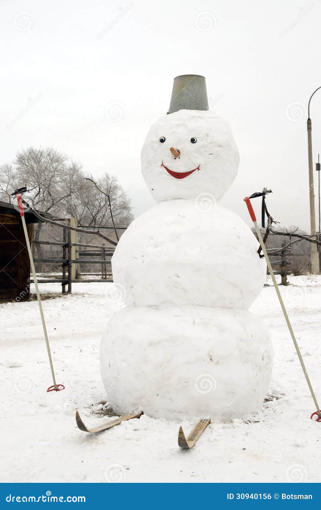 Snowball Picture. Image: 30940156