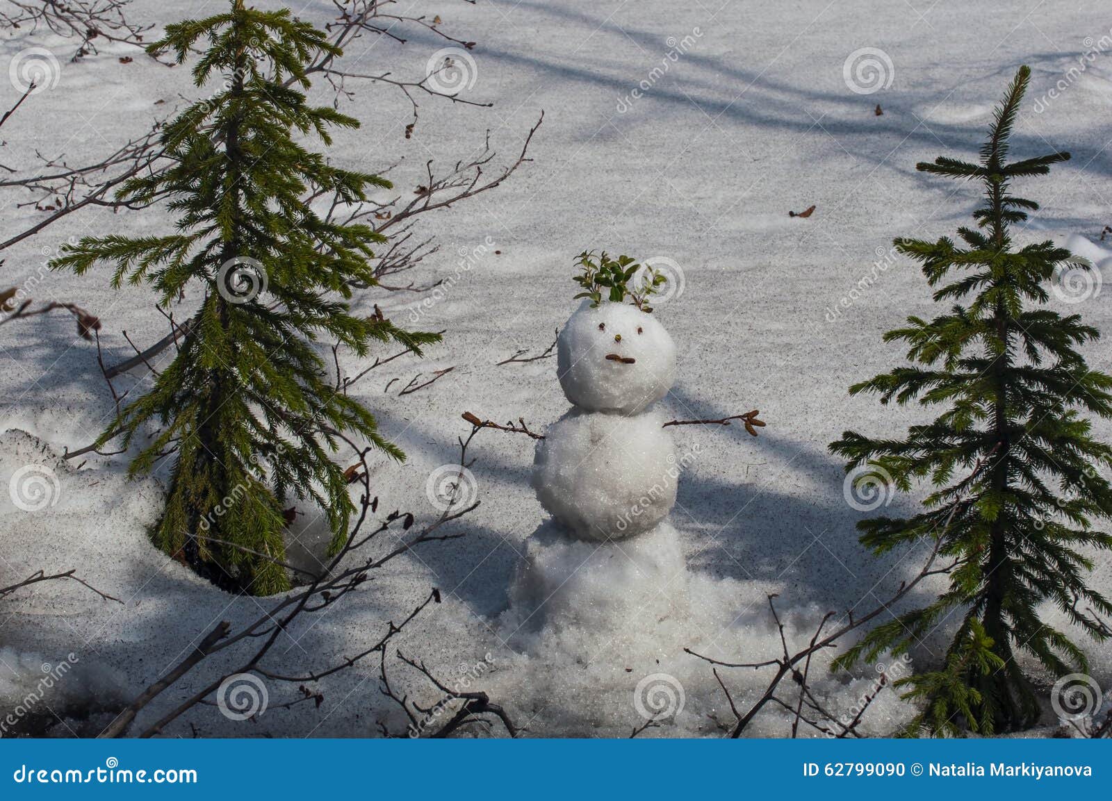 Snowball stock photo. Image of entertainment, plant, vegetation - 62799090