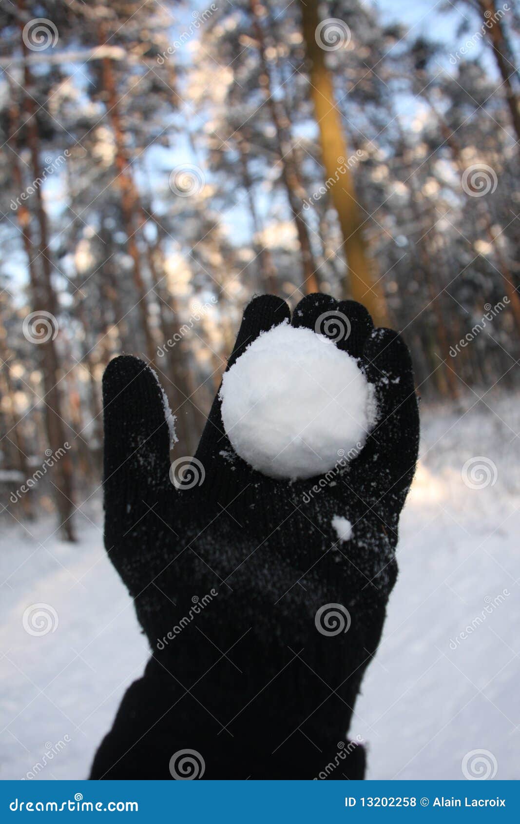 Snowball throwing stock photo. Image of hitting, games - 13202258