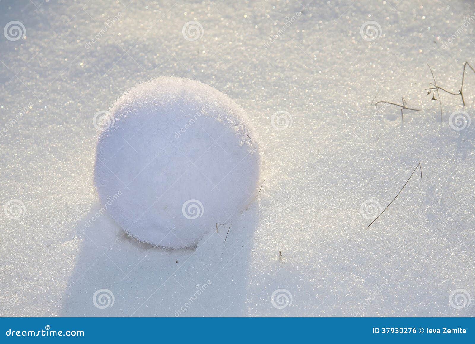 Snowball stock photo. Image of closeup, celebrating, card - 37930276