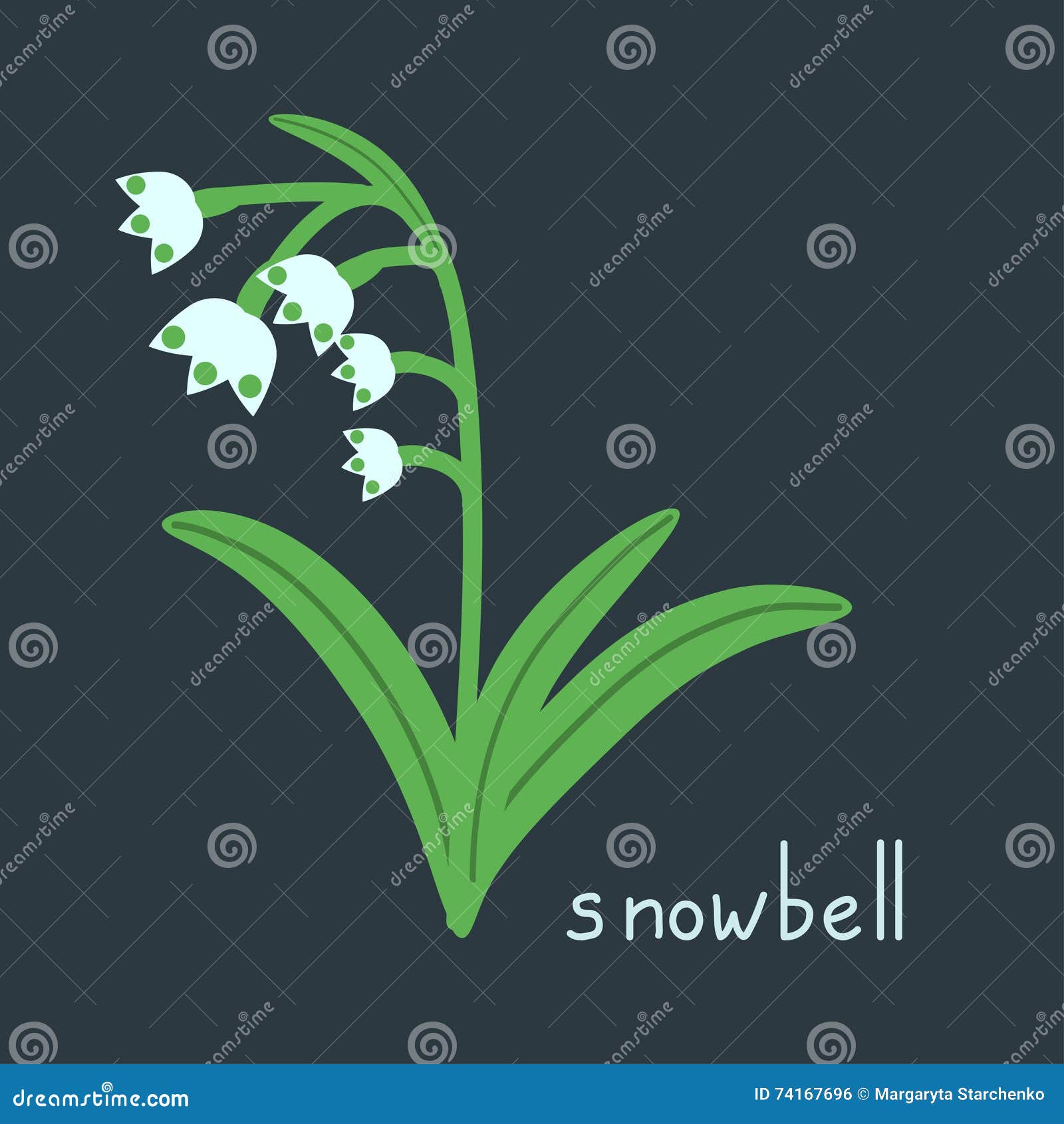 Snowbell Plant Illustration Stock Vector - Illustration of field ...