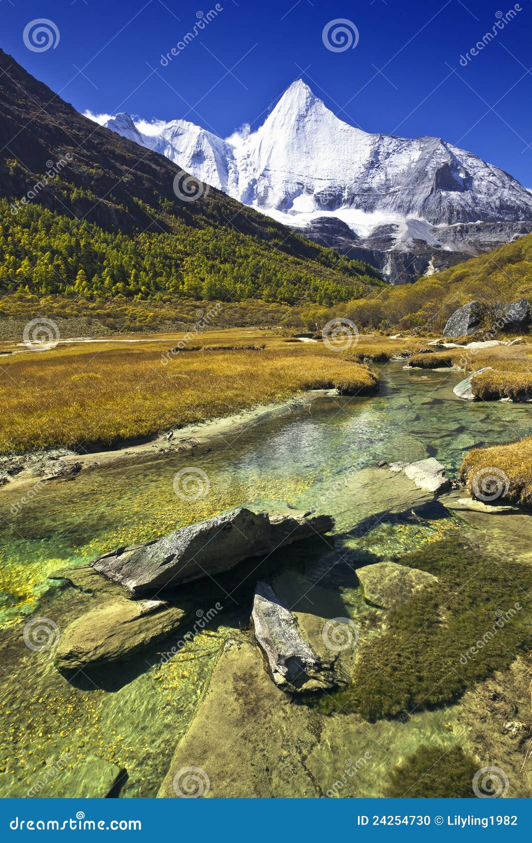 Snowberg arkivfoto. Bild av nationellt, maximum, helgedom - 24254730