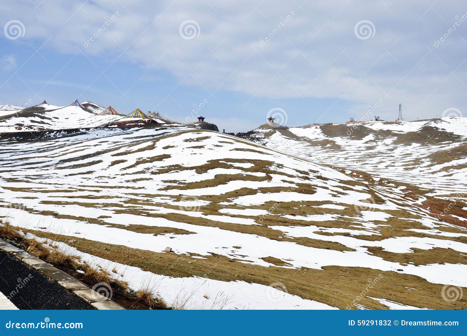 Snowberg stock photo. Image of area, cafe, blossom, chinese - 59291832