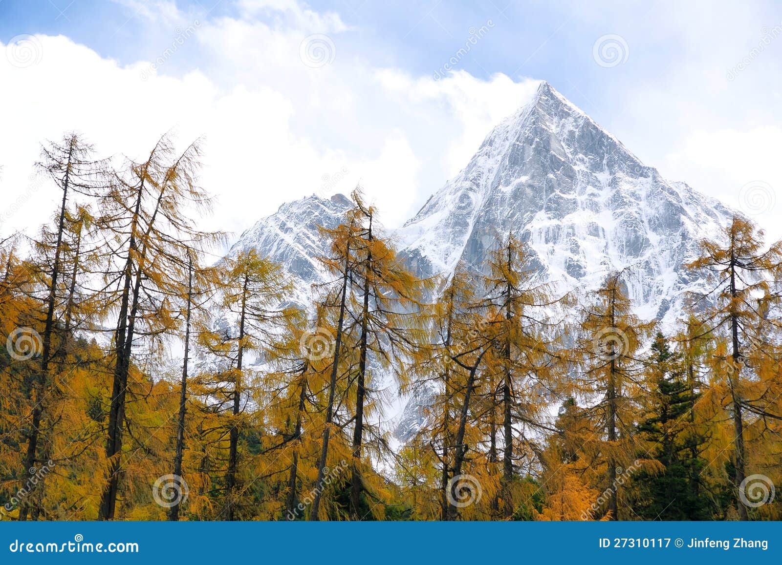 Snowberg scenery stock image. Image of natural, yellow - 27310117