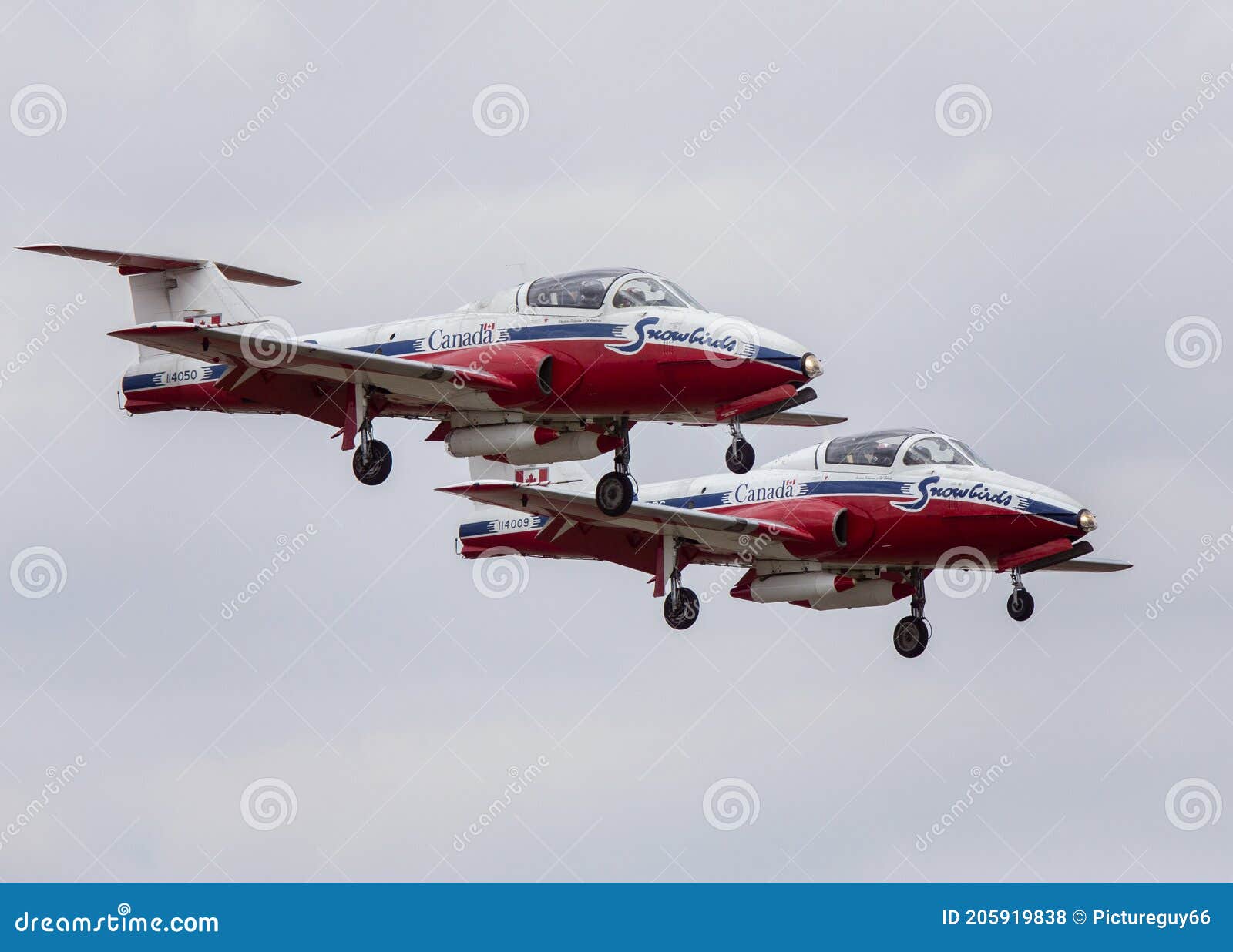 Snowbirds in Flight Canada editorial stock photo. Image of forces ...
