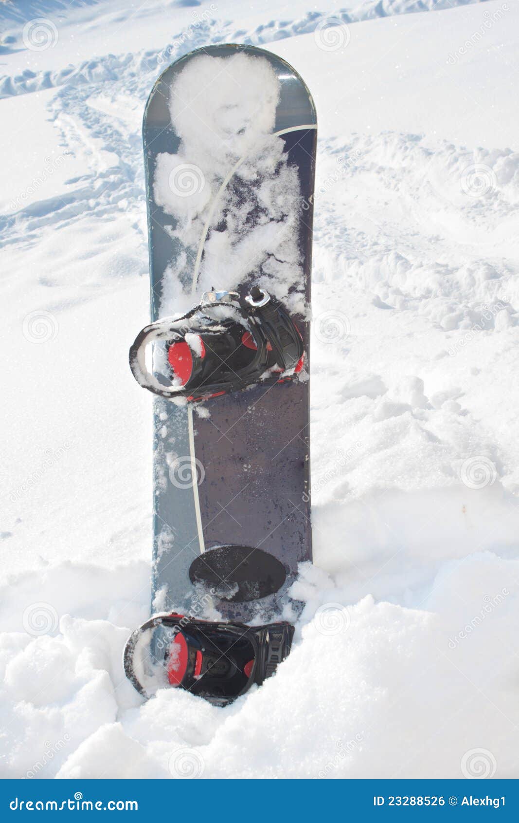 Snowboard in snow stock photo. Image of snowboard, mountain - 23288526