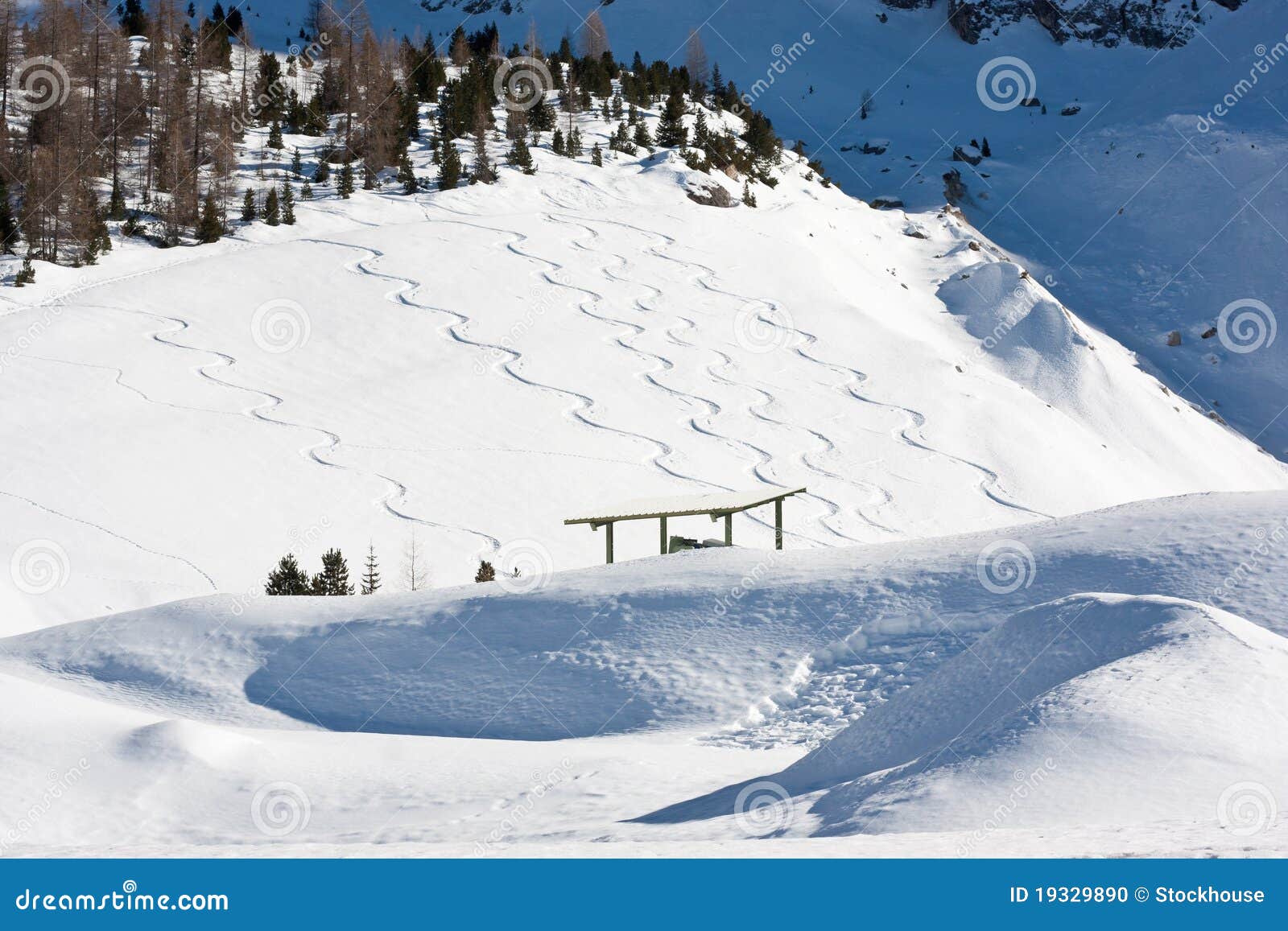 Snowboard Tracks in Alps Forest Landscape Stock Photo - Image of ...