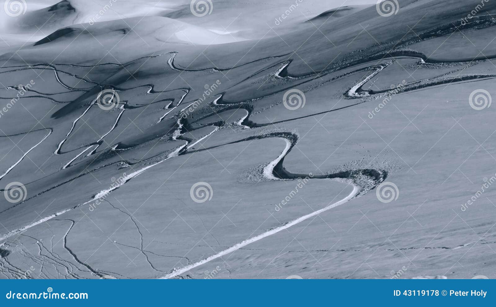 Snowboard tracks in powder stock photo. Image of tracks - 43119178