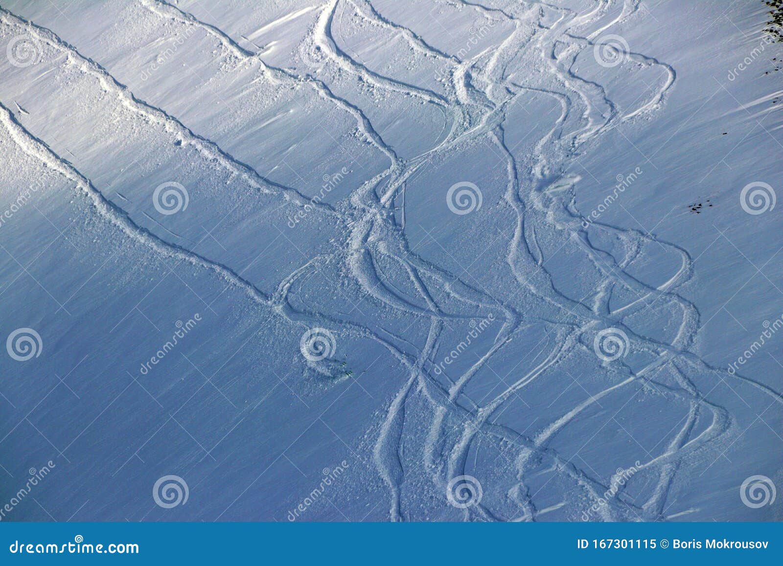 Snowboard Tracks on a Snowy Mountainside on Sunset Stock Image - Image ...