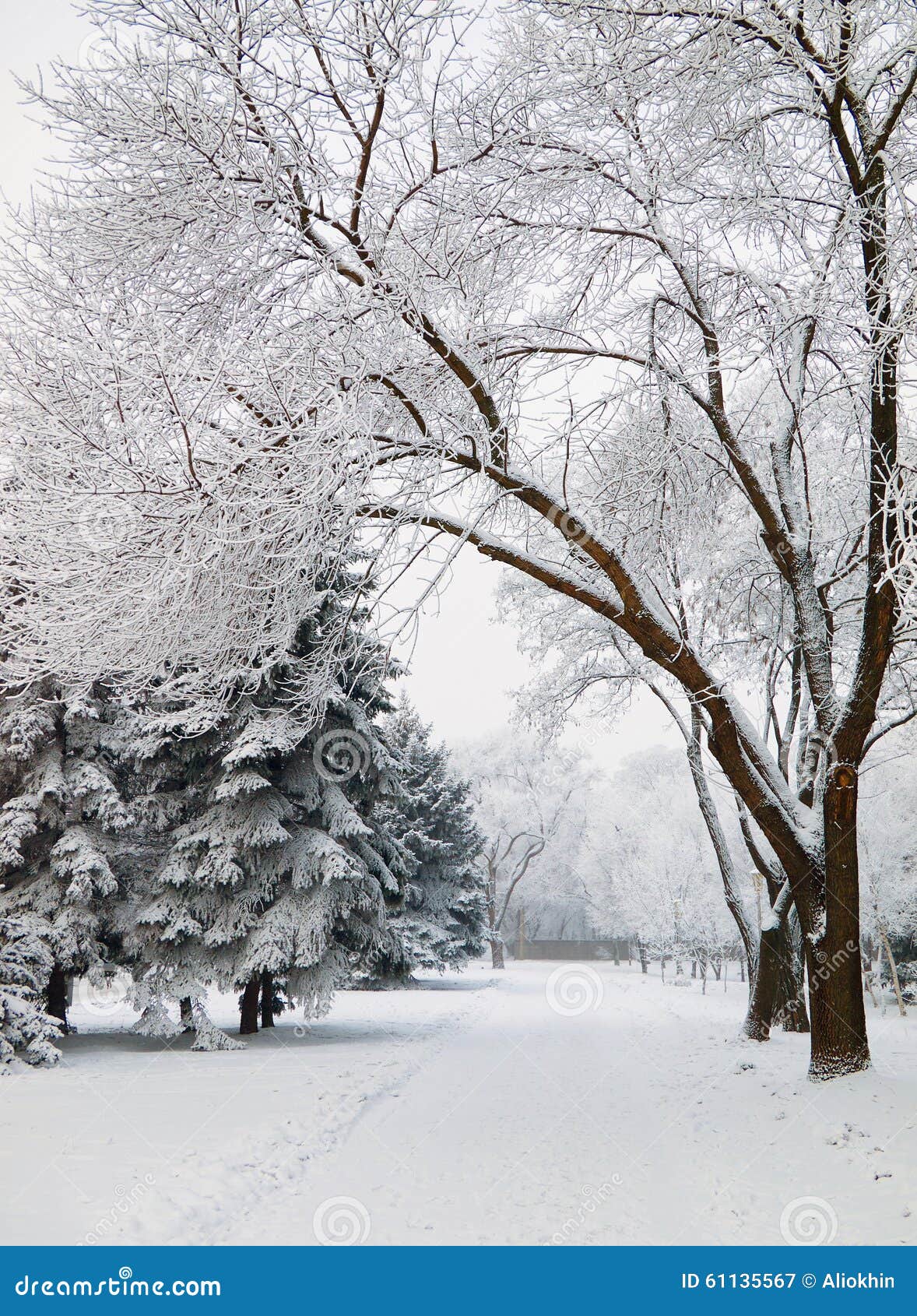 Snowbound City Park Walkway Stock Image - Image of white, frost: 61135567
