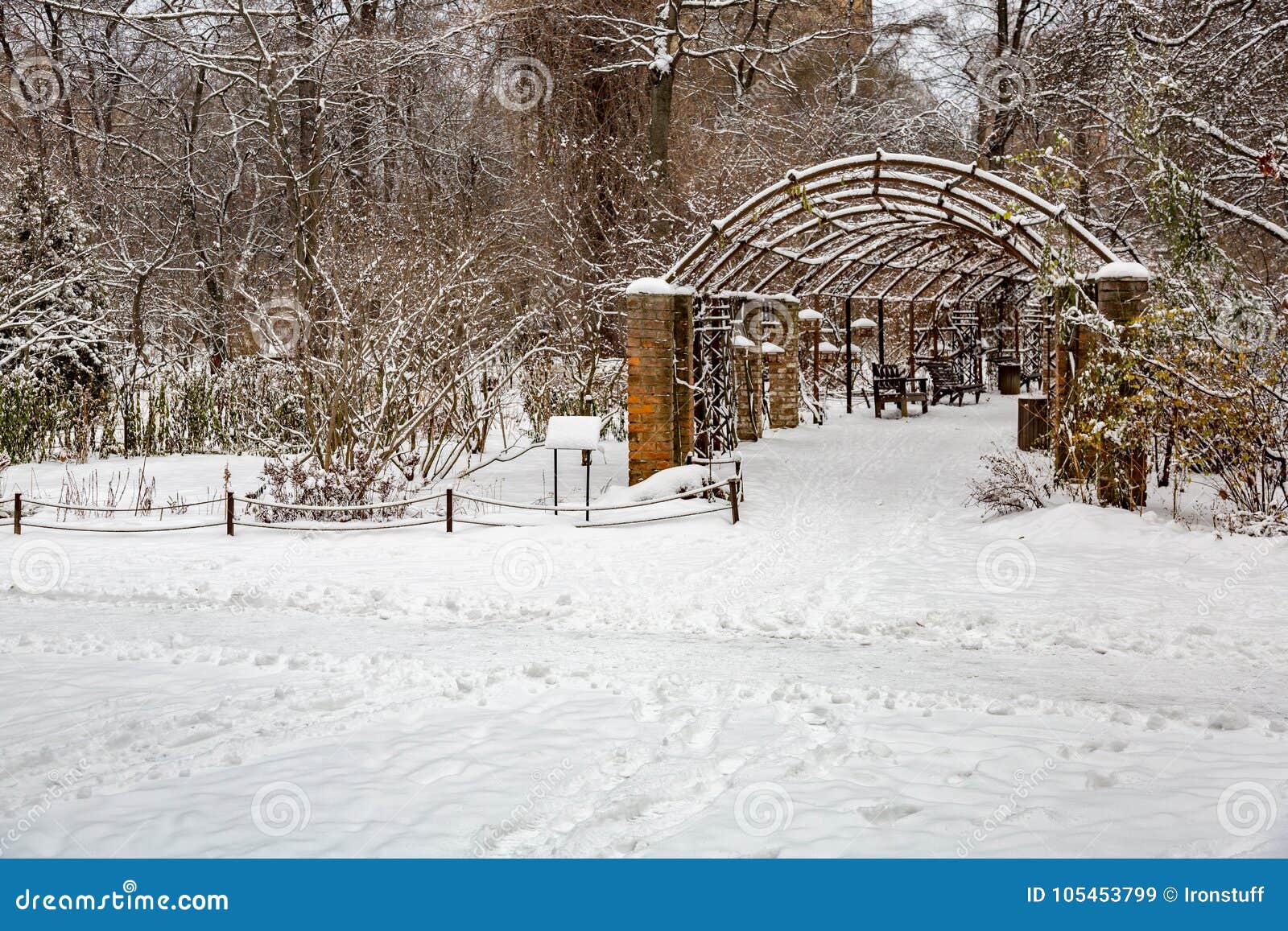 Winter in the city park stock image. Image of nature - 105453799