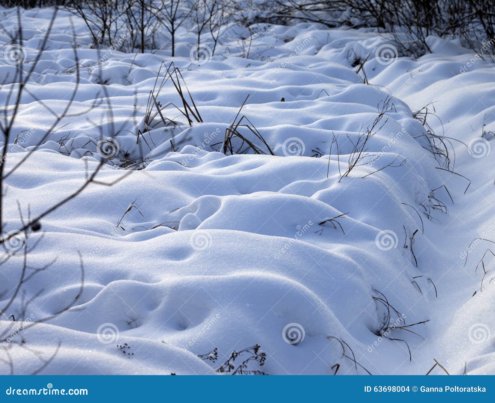 Snowbound winter meadow stock photo. Image of capped - 63698004