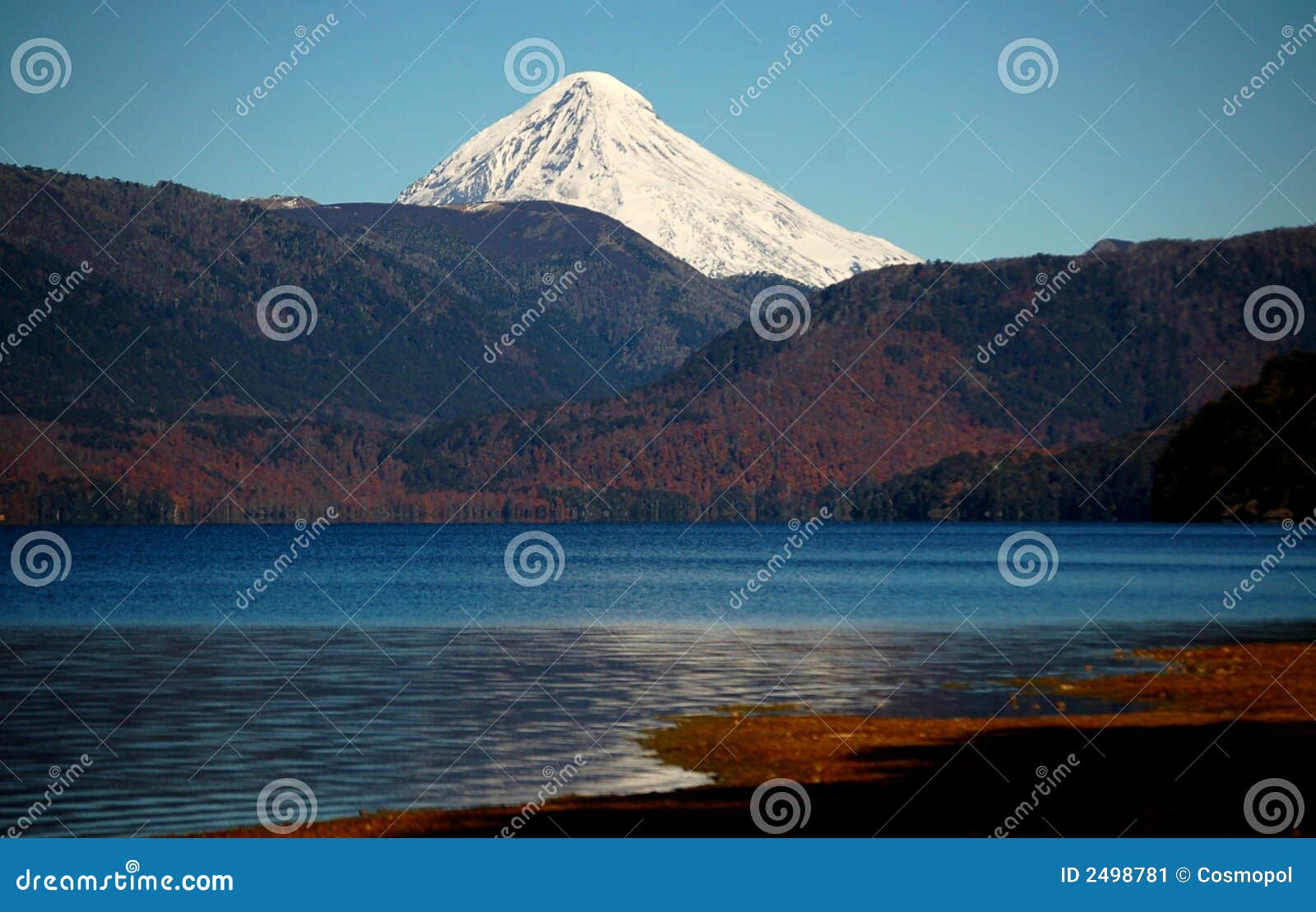 Snowcovered Lanin volcano stock image. Image of argentina - 2498781