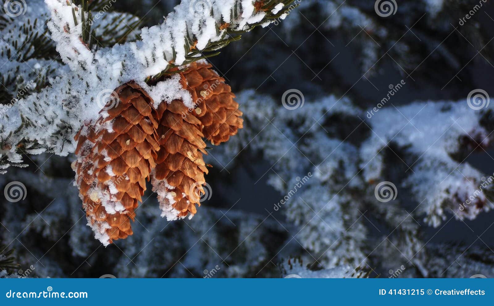 6,139 Crisp Snow Stock Photos - Free & Royalty-Free Stock Photos from ...