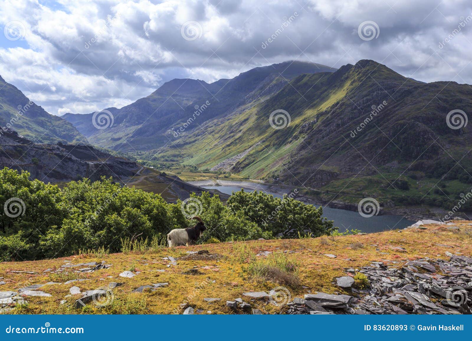 Snowdon view stock image. Image of great, hills, peaks - 83620893