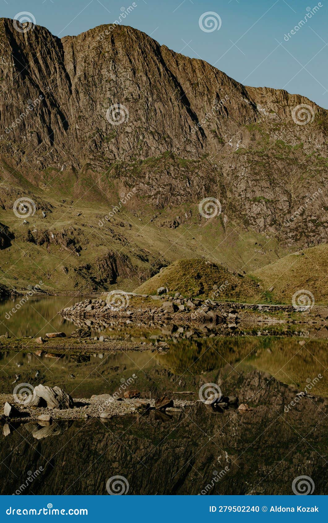 Snowdon, Wales, UK stock photo. Image of flower, wildlife - 279502240