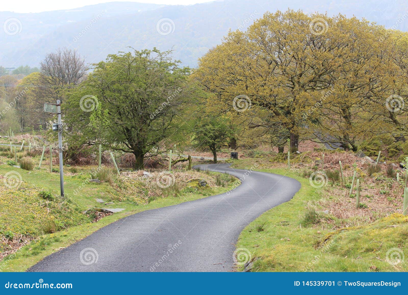 Snowdonia Parks Road in Spring Time. Stock Image - Image of forest ...