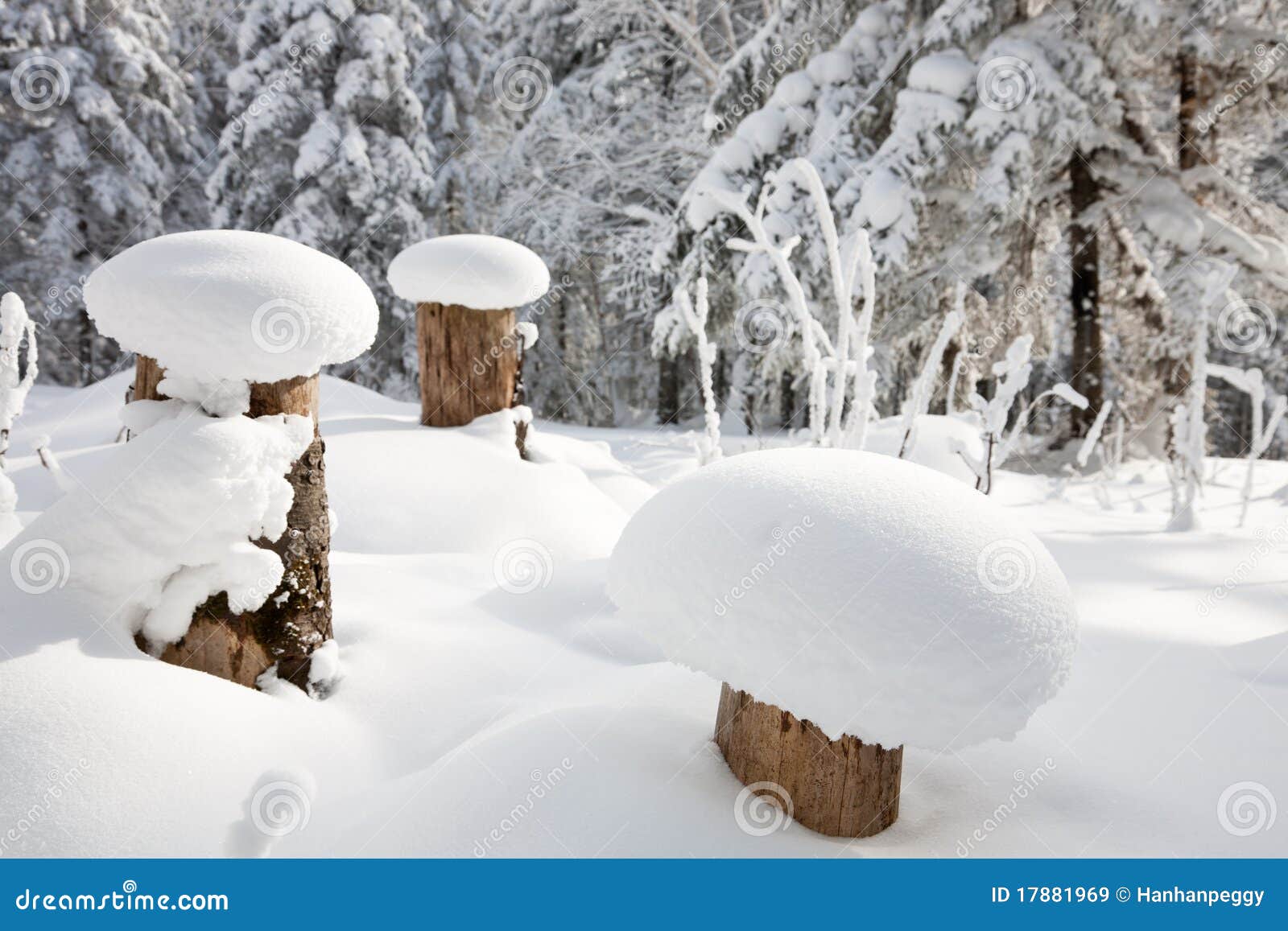 Snowdrift stock image. Image of deep, snow, cold, landscape - 17881969