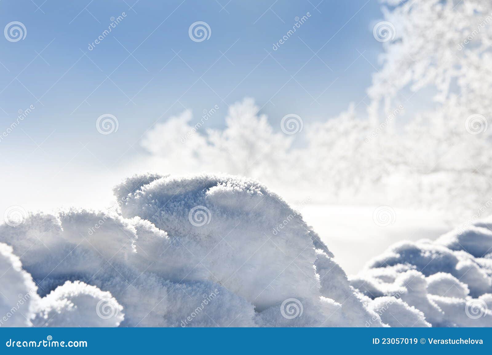 Snowdrift and frozen trees stock image. Image of freeze - 23057019