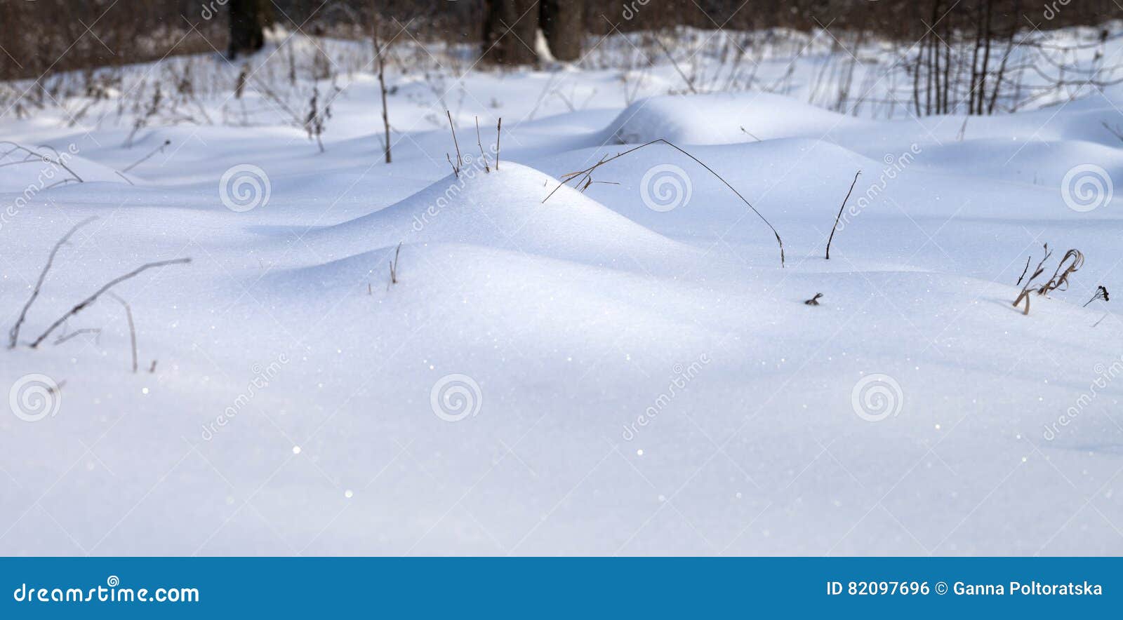 Snowdrift in winter forest stock photo. Image of hassock - 82097696