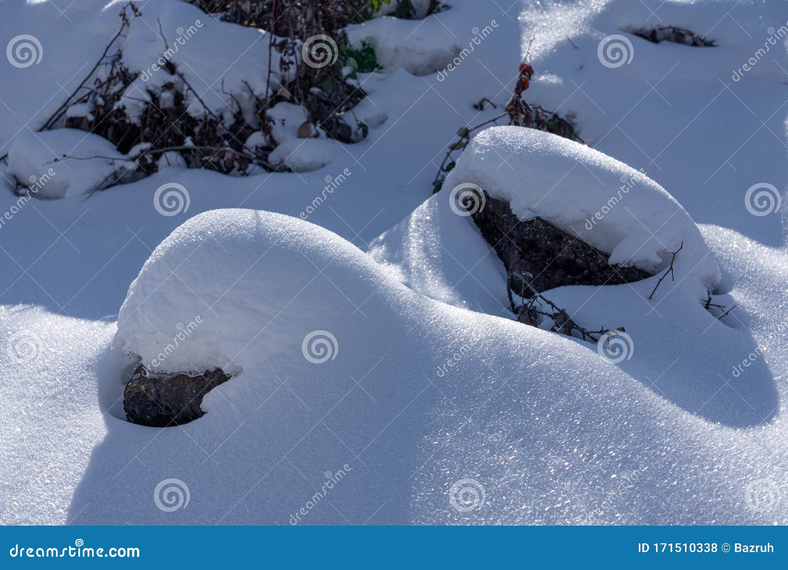 Snowdrifts in the Winter Forest Stock Photo - Image of landscape ...