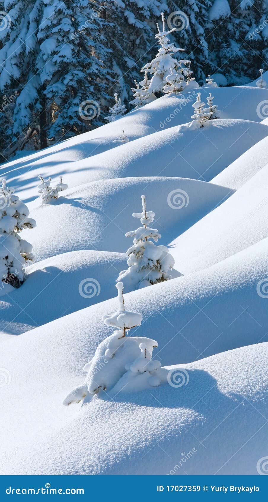 Snowdrifts on Winter Snow Covered Mountainside Stock Image - Image of ...