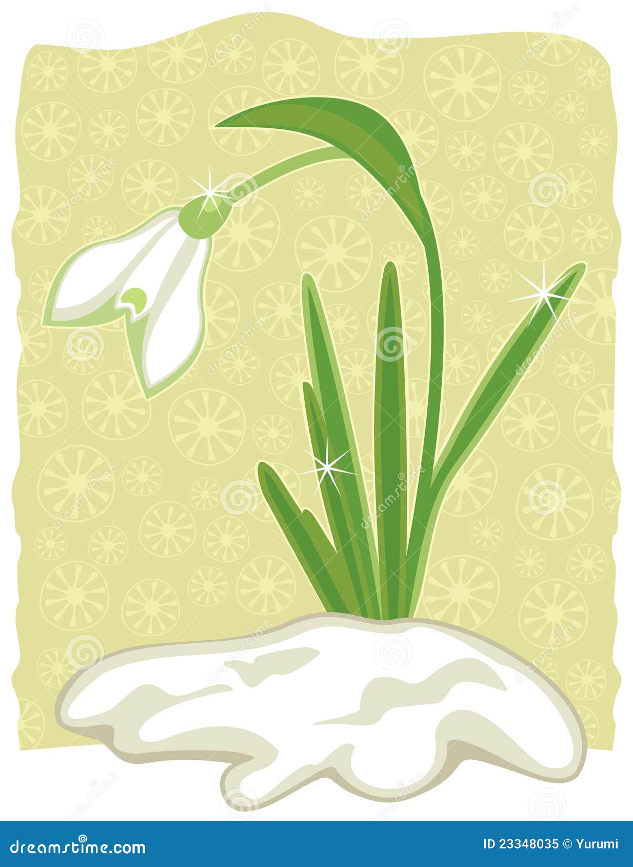 Snowdrop stock vector. Illustration of plant, nature - 23348035