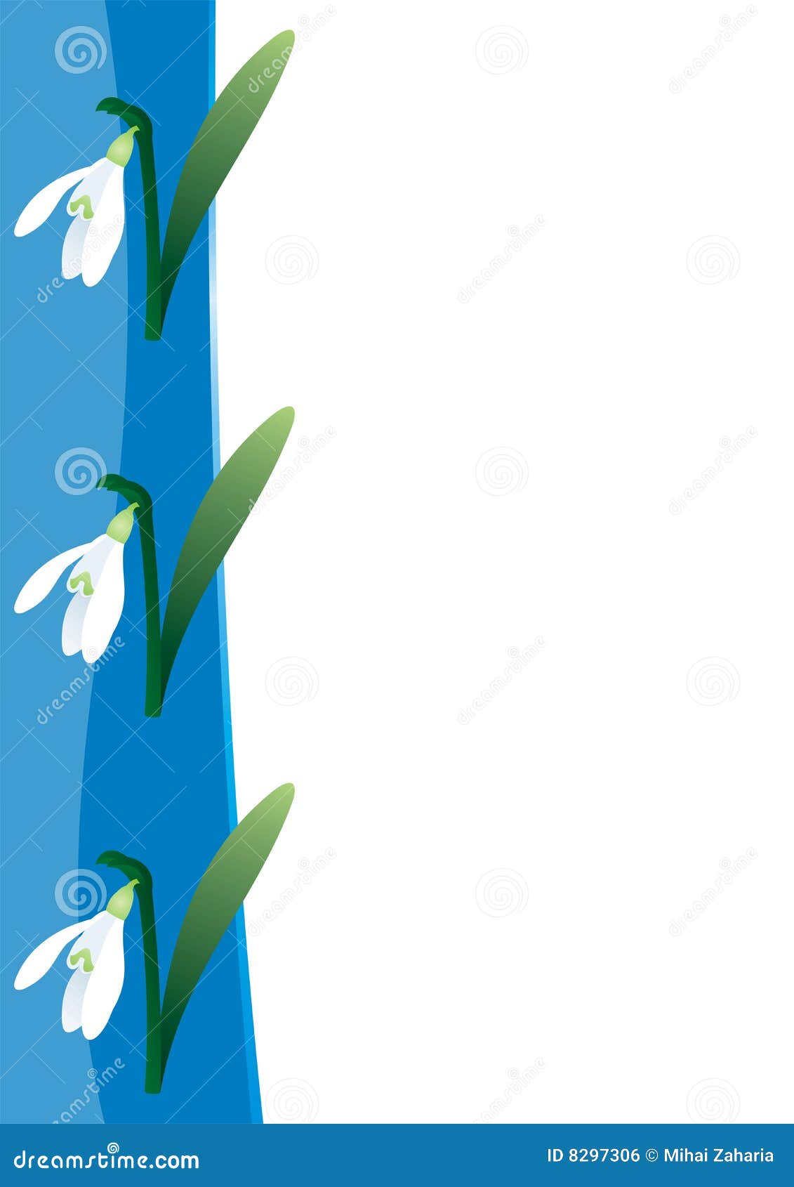 Snowdrop border template stock vector. Illustration of symbol - 8297306