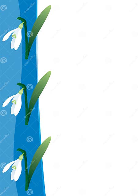 Snowdrop border template stock vector. Illustration of symbol - 8297306