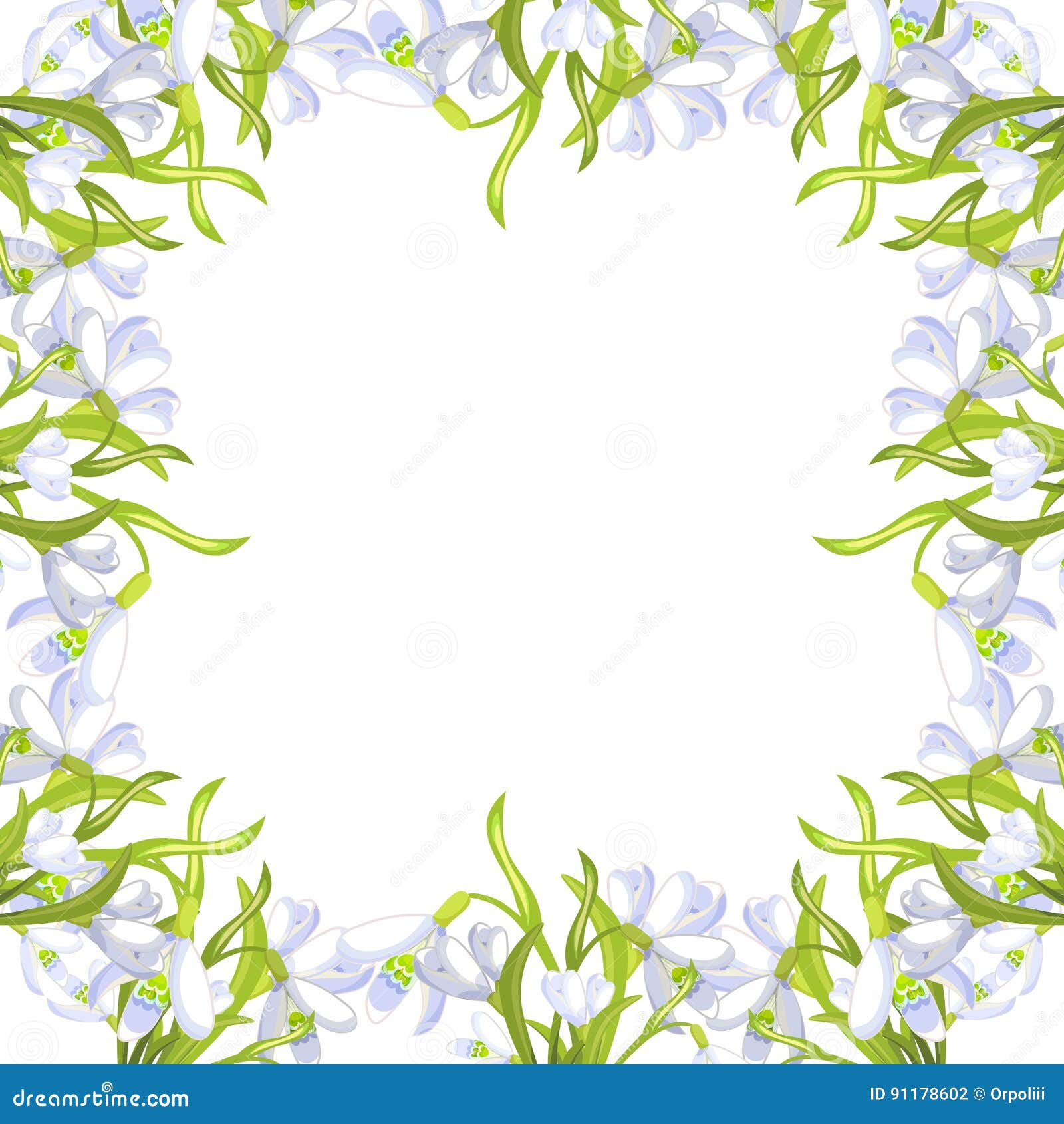 Snowdrop Flower Blossomed with Leaves. Vector Illustration Stock Vector ...