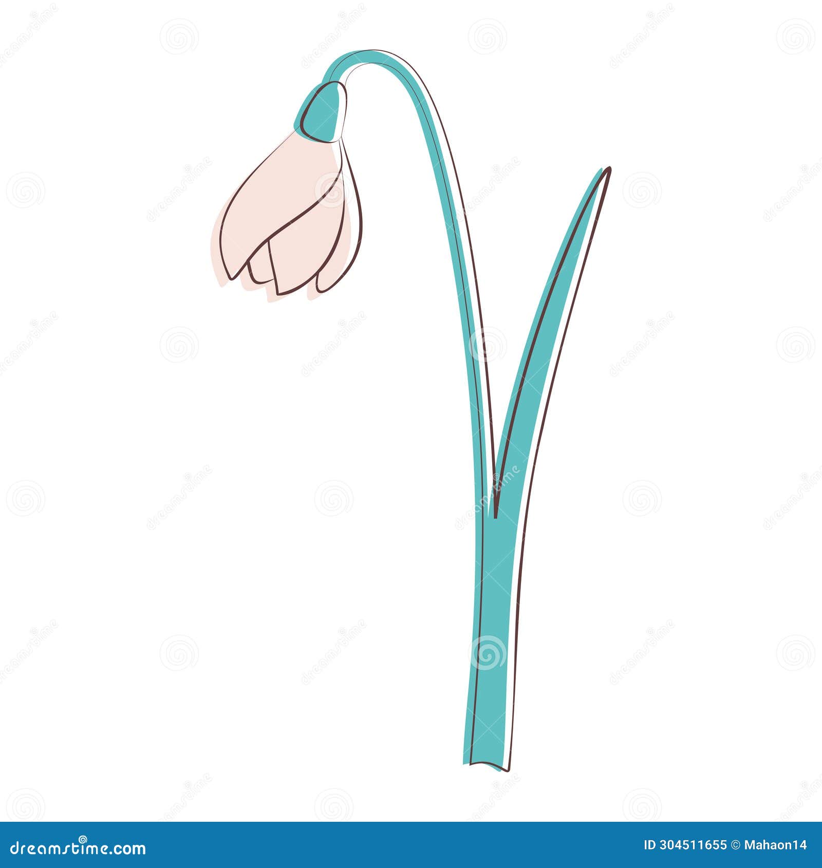 Snowdrop Flower Illustration Stock Illustration - Illustration of ...