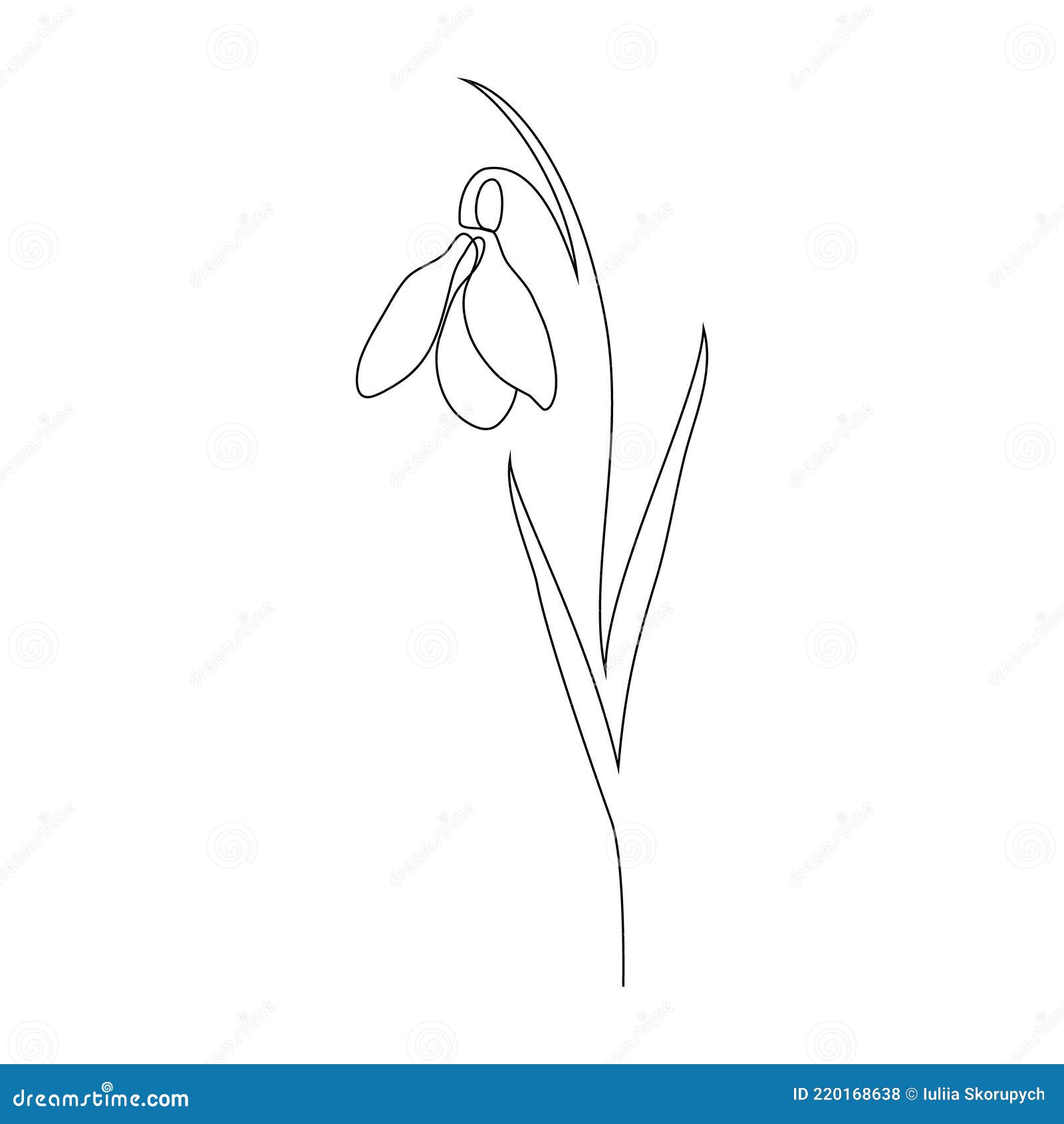 Snowdrop Flower in Line Art Style. Stock Vector - Illustration of ...