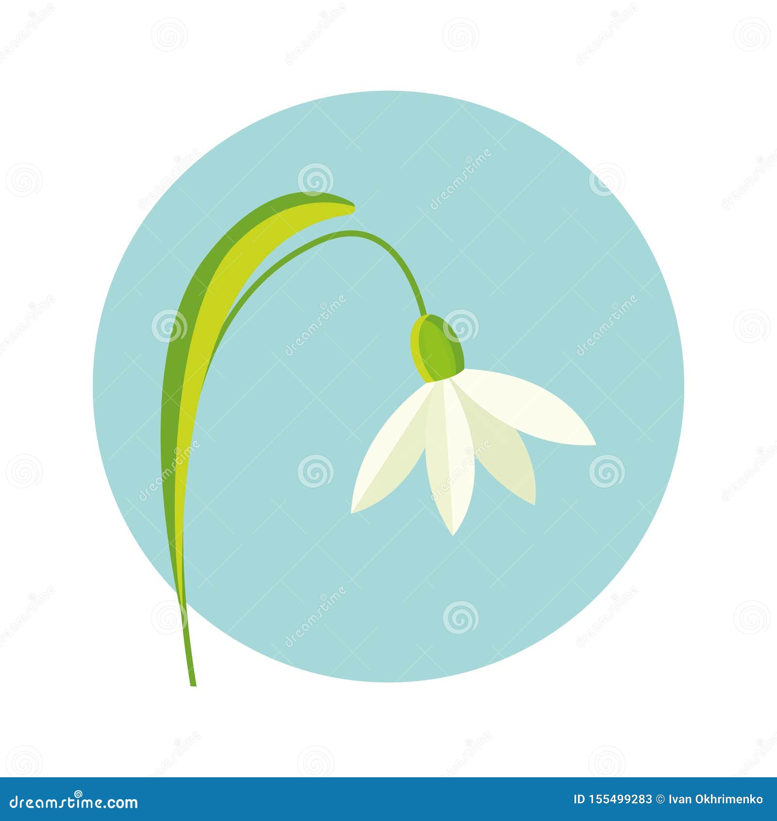 Snowdrop Flower Vector Illustration. Stock Vector - Illustration of ...